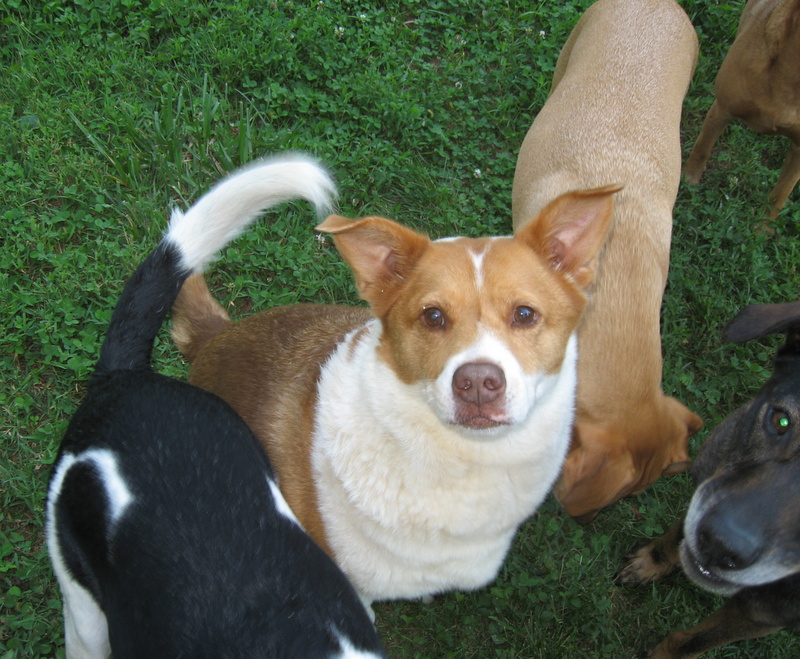 From Fiesta/Siesta to Alexander’s Ark … – Alexander's Ark