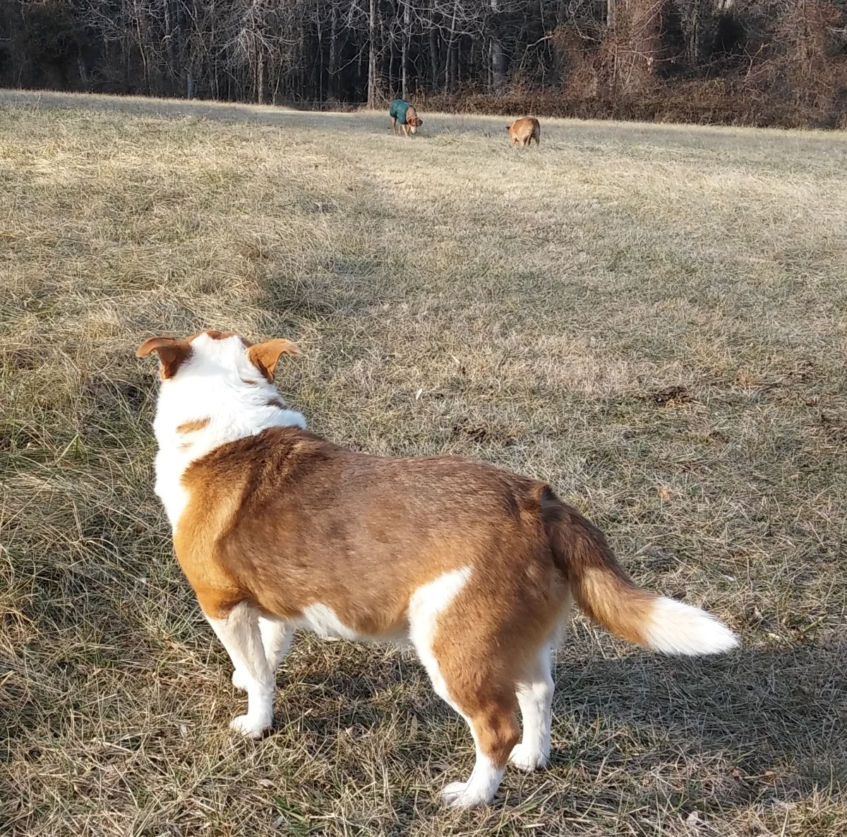 Get up and go … – Alexander's Ark